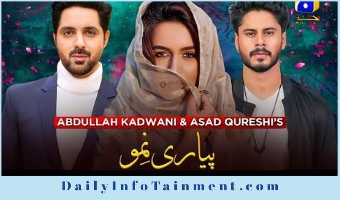 Pyari Nimmo: A New Drama About Dreams and Destiny - Story, Cast and ...